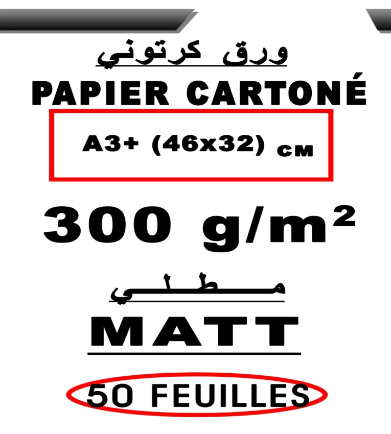 Tanjashop.com - Papier 300g/m² cartonné A3+ Matt pour impression (50 ...
